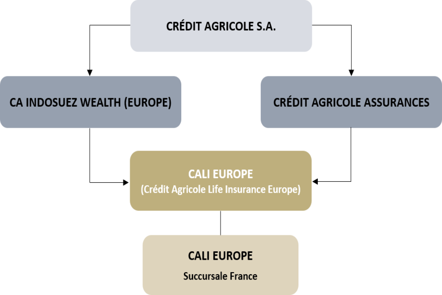 Who we are? | CALI Europe
